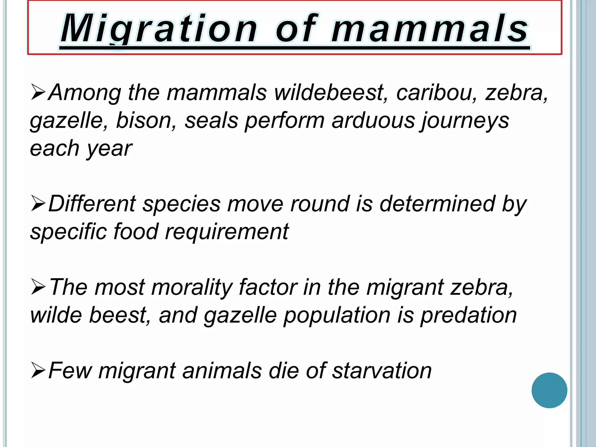 migration of animals | PPTX