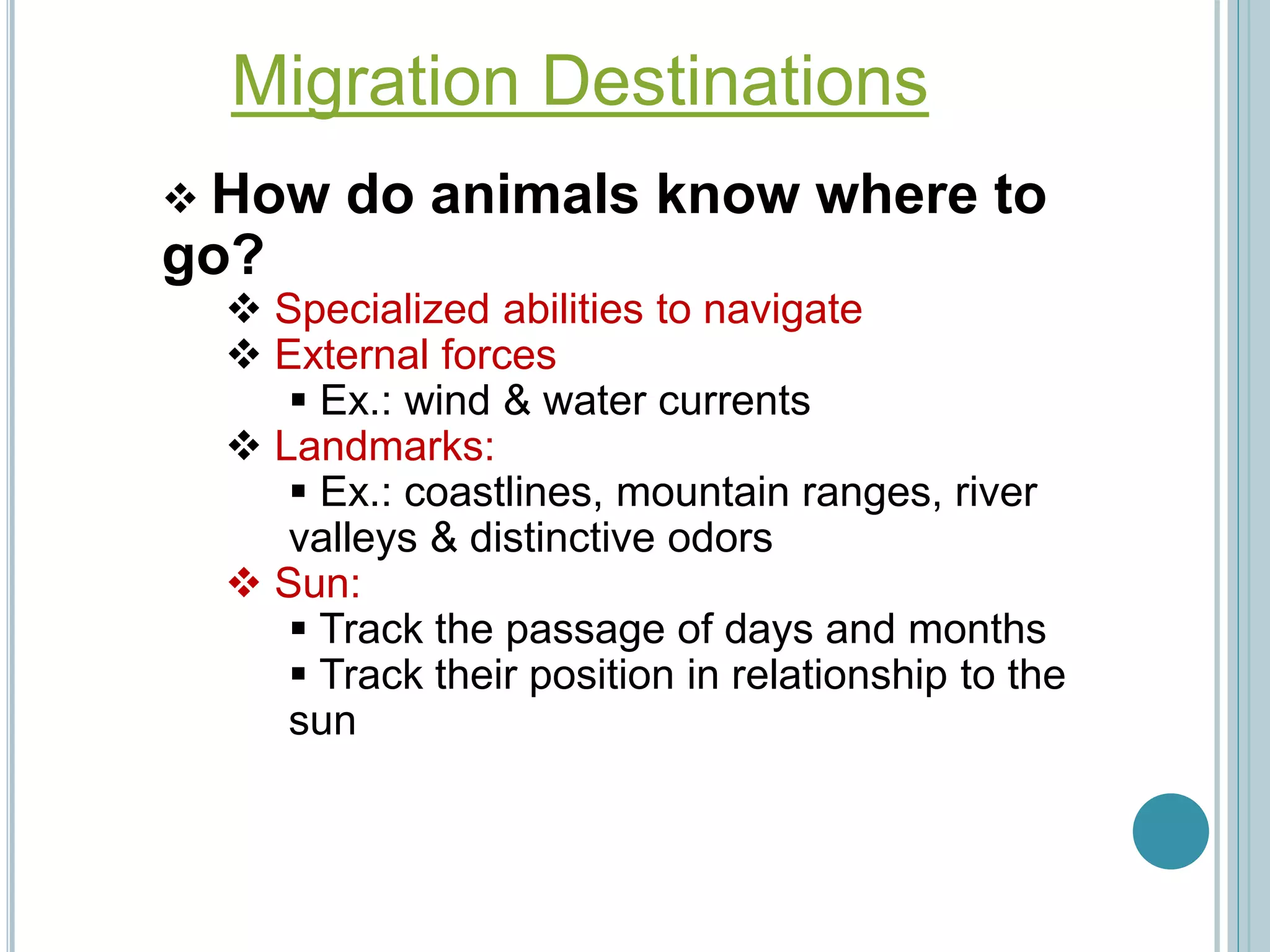 migration of animals | PPTX