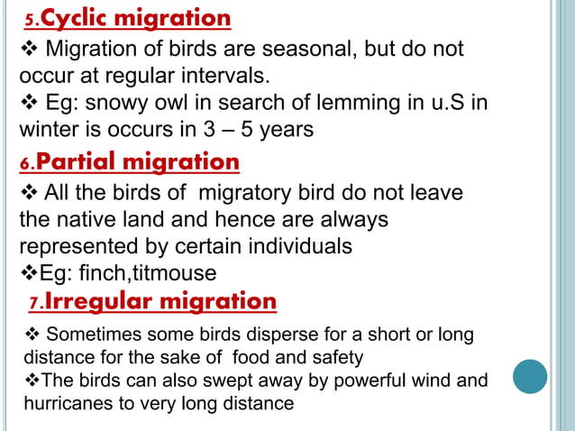 migration of animals | PPTX