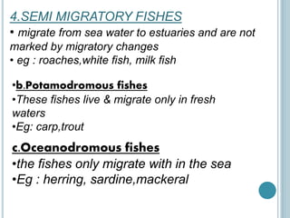 migration of animals | PPTX
