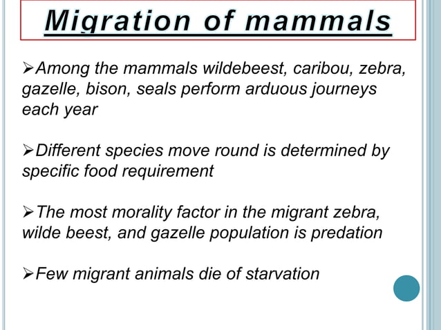 migration of animals | PPTX