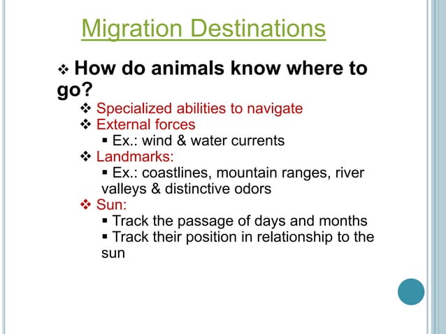 migration of animals | PPTX