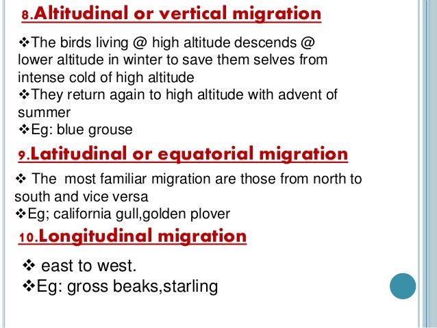 migration of animals