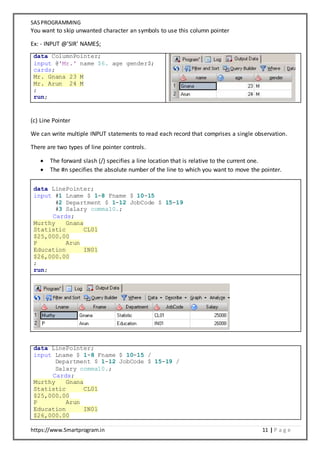 SAS Programming Notes | DOCX