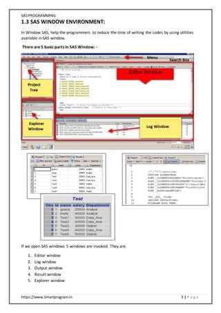 SAS Programming Notes | DOCX