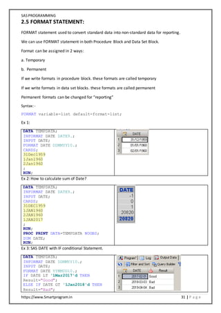 SAS Programming Notes | DOCX