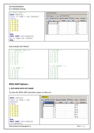 SAS Programming Notes | DOCX