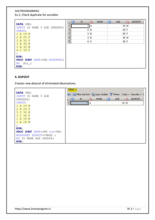 SAS Programming Notes | DOCX