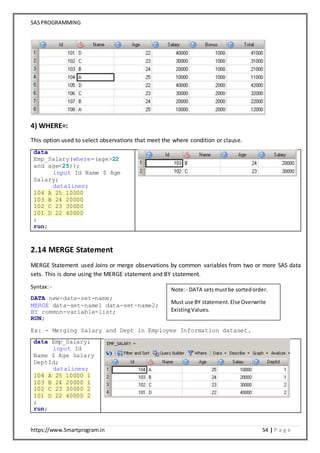SAS Programming Notes | DOCX