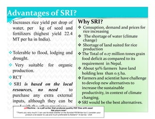 Sas presentation | PDF
