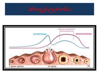 Sasqeso hormonebi | PPT