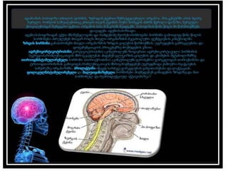Sasqeso hormonebi | PPT