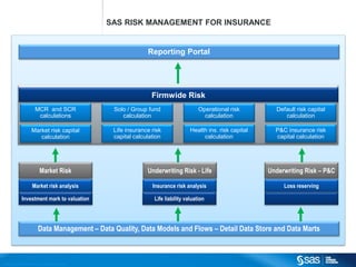 SAS Risk Management for Insurance | PDF