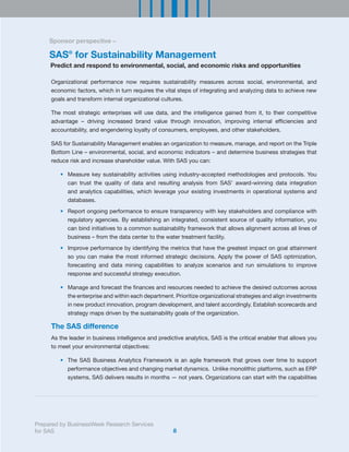 SAS White Paper On Sustainability | PDF