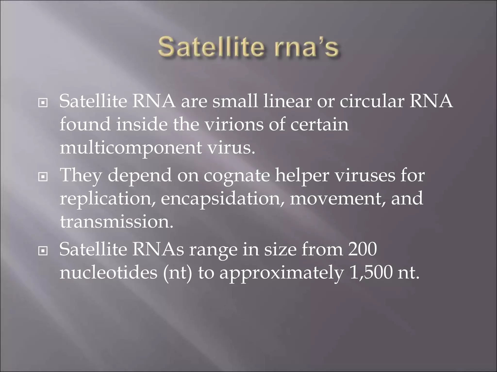 sat. virus.ppt