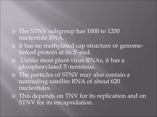 sat. virus.ppt