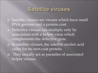 sat. virus.ppt