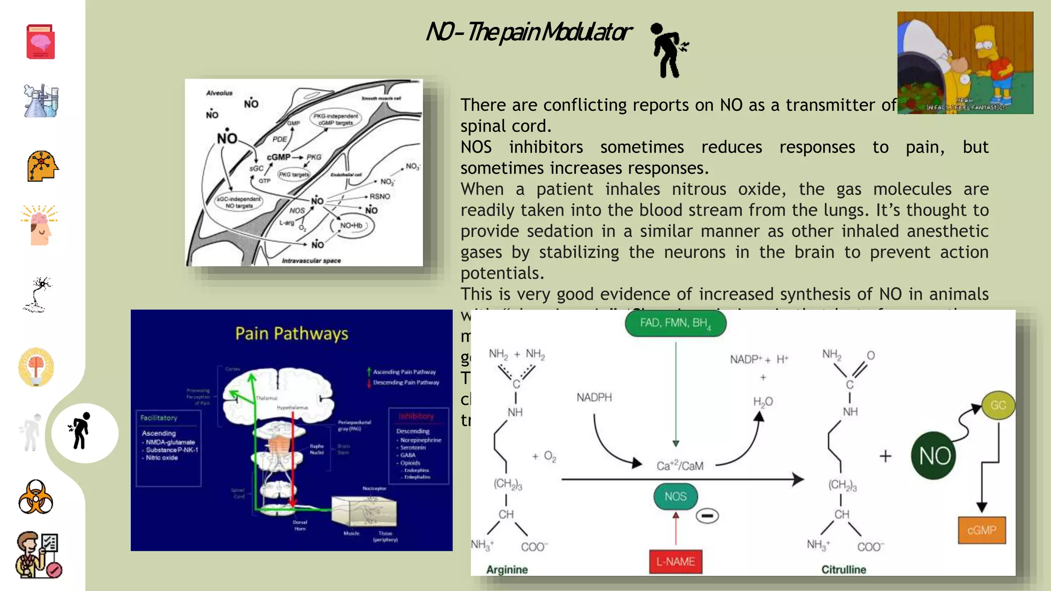 Satadal Sengupta; NO as neurotransmitter.pptx