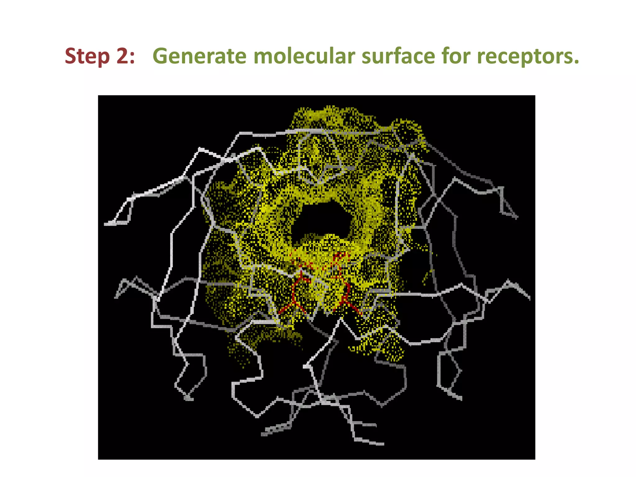Basics Of Molecular Docking | PPTX