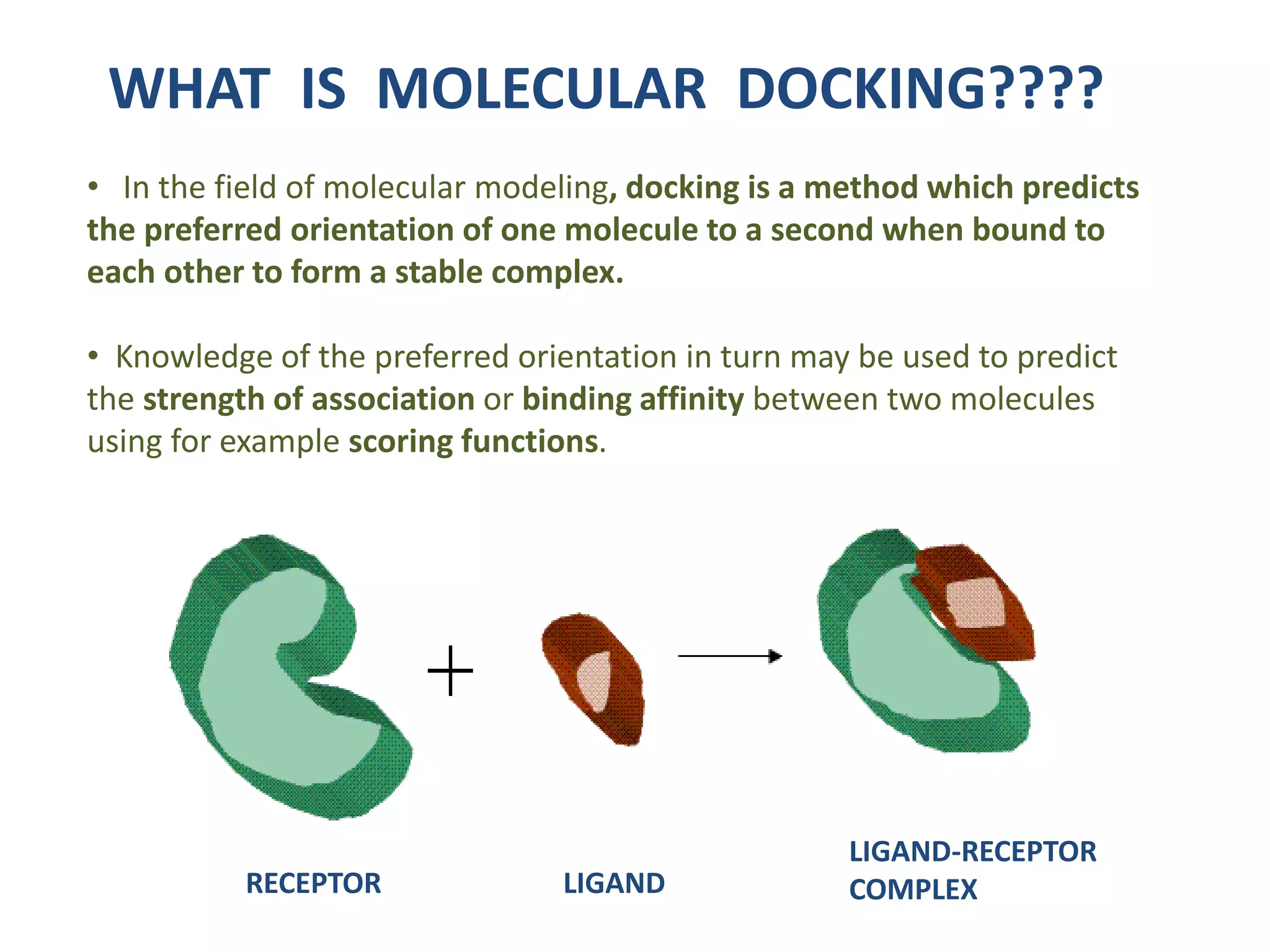 Basics Of Molecular Docking | PPTX