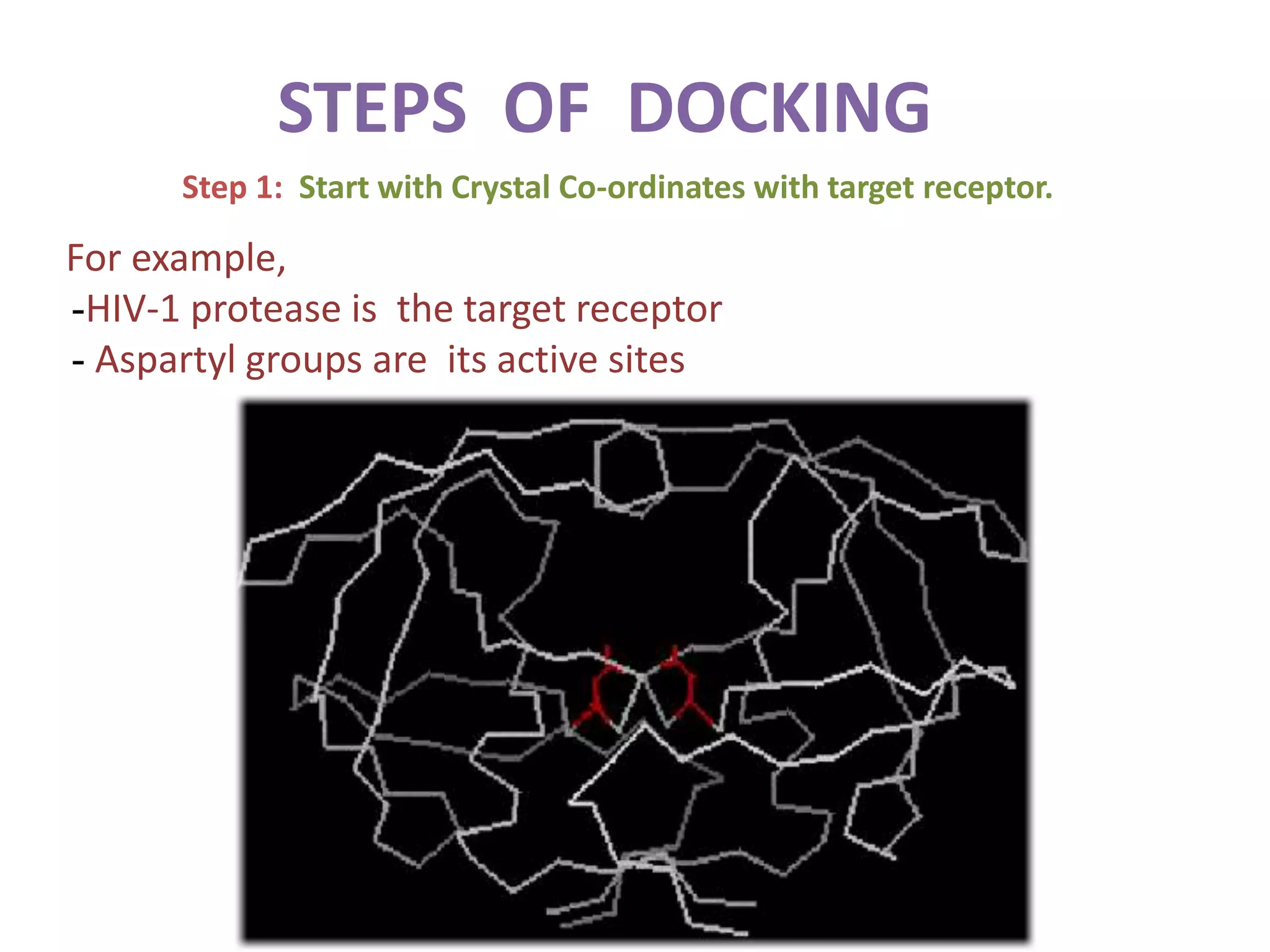 Basics Of Molecular Docking | PPTX