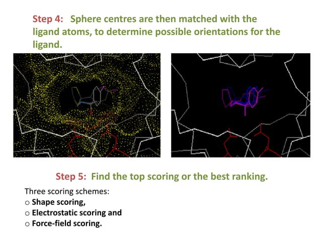 Basics Of Molecular Docking | PPTX