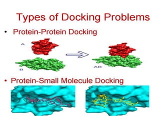 Basics Of Molecular Docking | PPTX