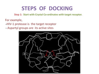 Basics Of Molecular Docking | PPTX