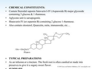 Satavari copy - copy | PPTX
