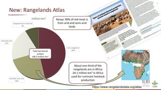 Cattle in sustainable, healthy food systems: Perspectives from Africa | PPT