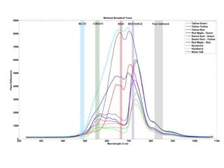 CLASSIFYING COMMON WETLAND PLANTS USING HYPERSPECTRAL DATA TO IDENTIFY OPTIMAL SPECTRAL BANDS ...