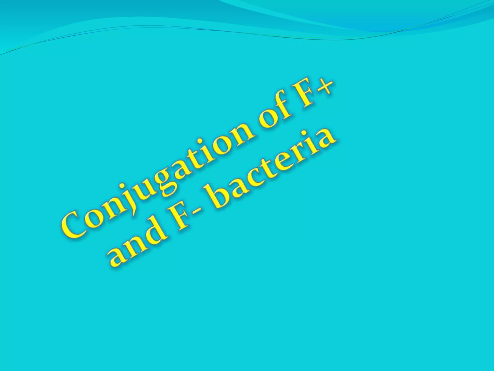 Rolling Circle Replication Ppt Pptx 0397