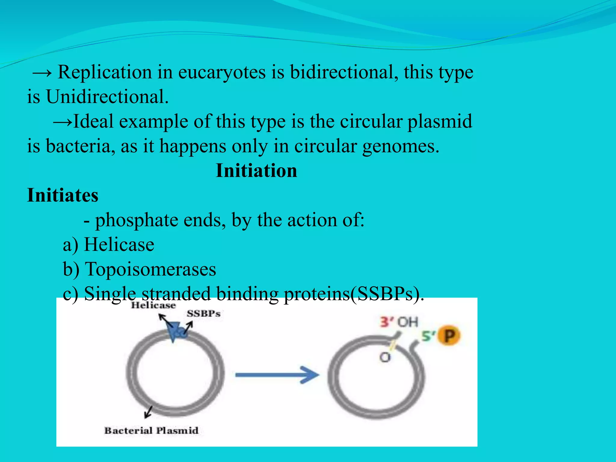 Rolling Circle Replication ppt | PPTX