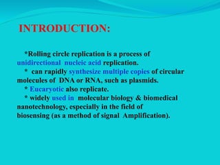 Rolling Circle Replication ppt | PPTX