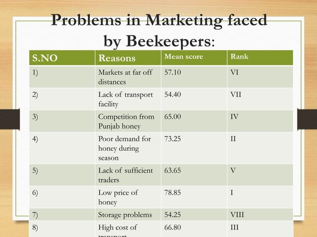 different risks in marketing | PPT