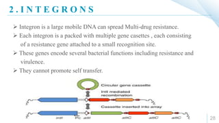 Antifungal drug resistance.............. | PPTX