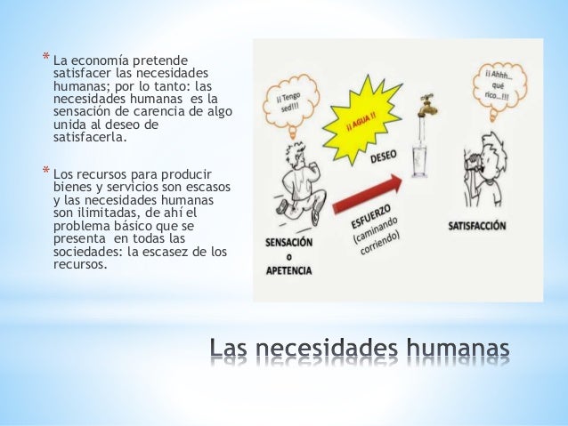Satisfaccion de las necesidades