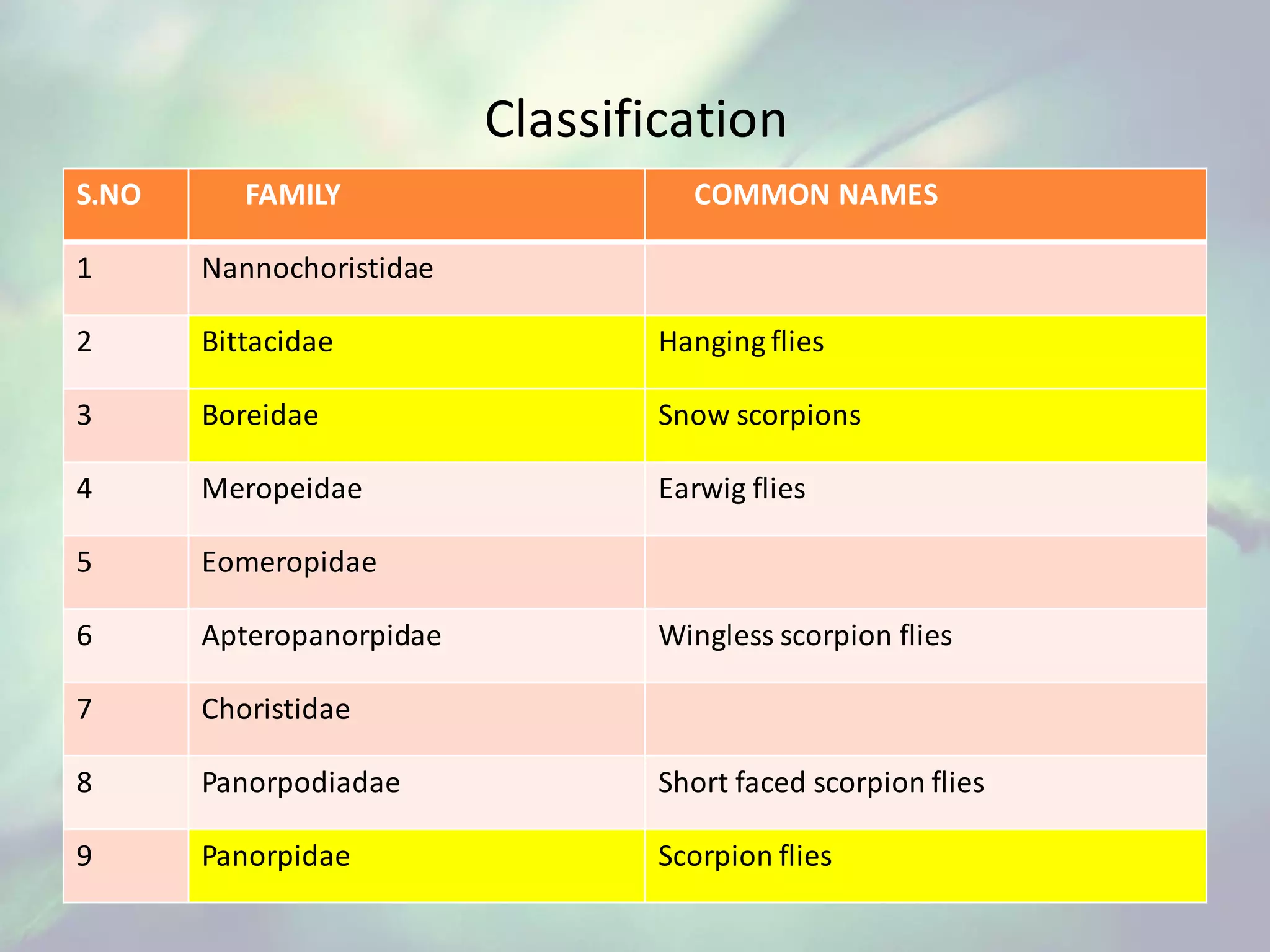 Mecoptera - Scorpion files | PDF