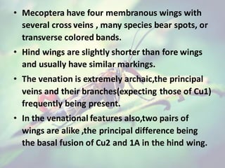 Mecoptera - Scorpion files | PDF