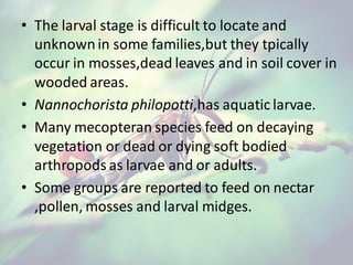 Mecoptera - Scorpion files | PDF