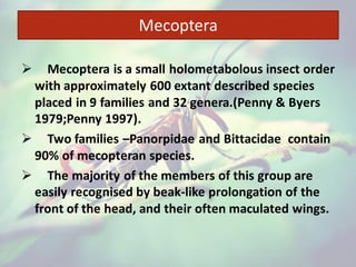 Mecoptera - Scorpion files | PDF