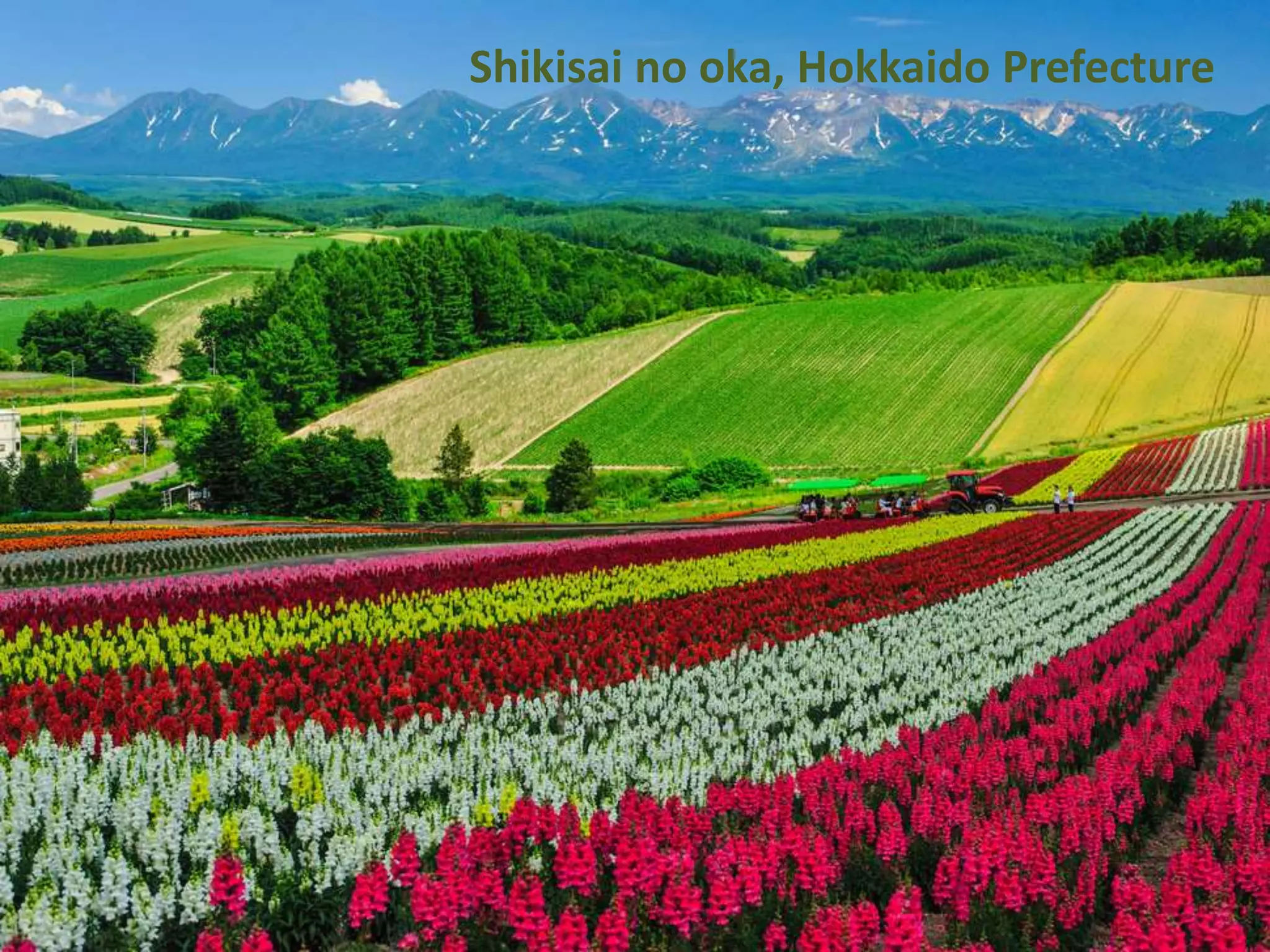 Gorgeous Locations of Japan Explored by Satish Lal Acharya | PPTX