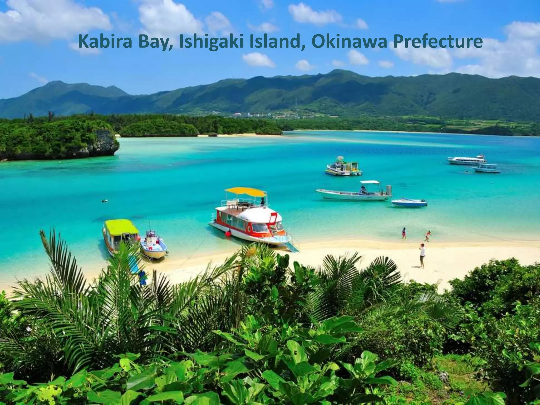 Gorgeous Locations of Japan Explored by Satish Lal Acharya | PPTX