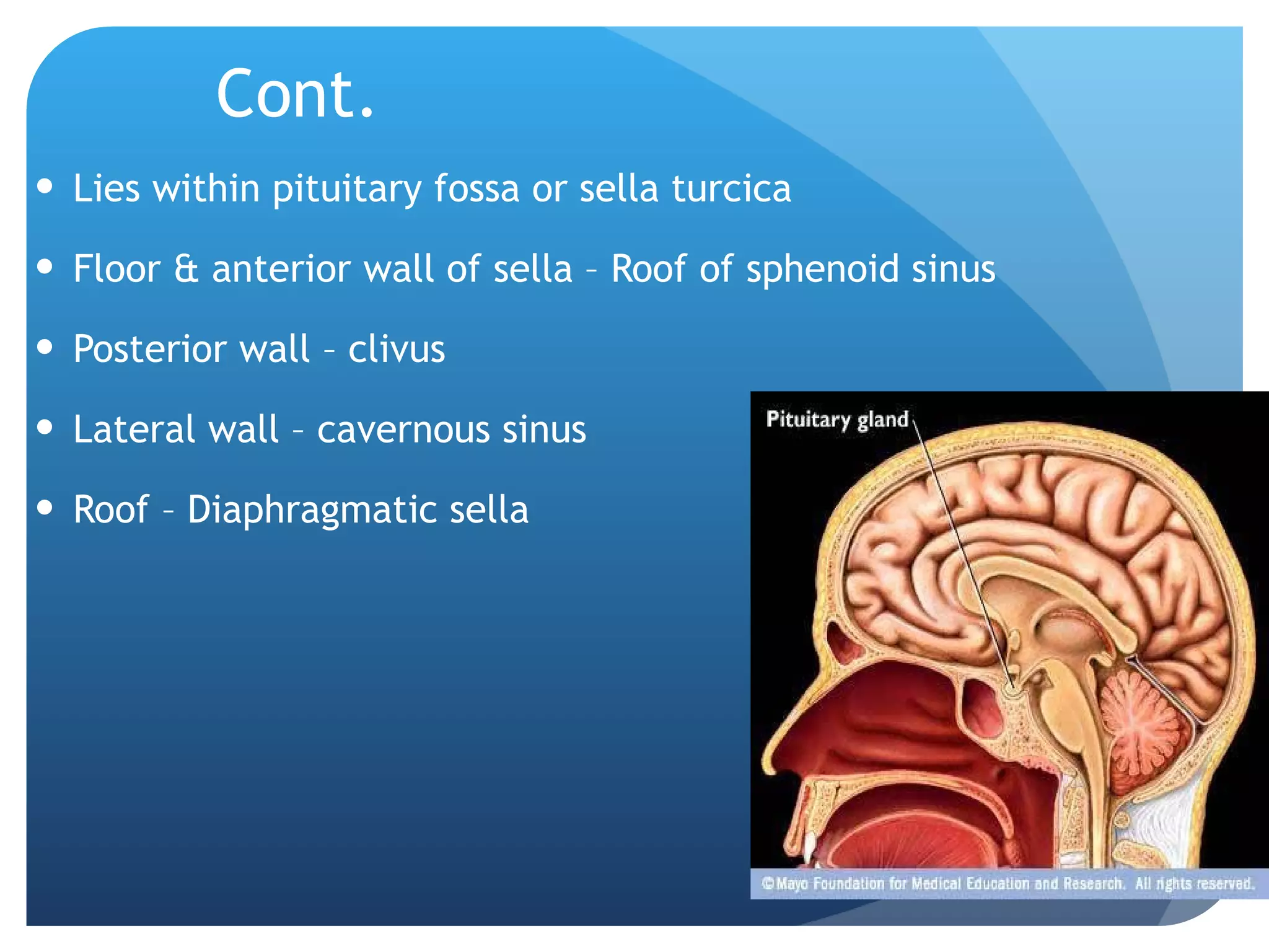 Anesthesia Management For Pituitary Tumor Ppt