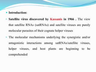 Sat rna1 | PPT