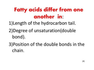 Saturated and unsaturated | PPT