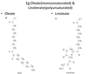 Saturated and unsaturated fatty acids | PPTX