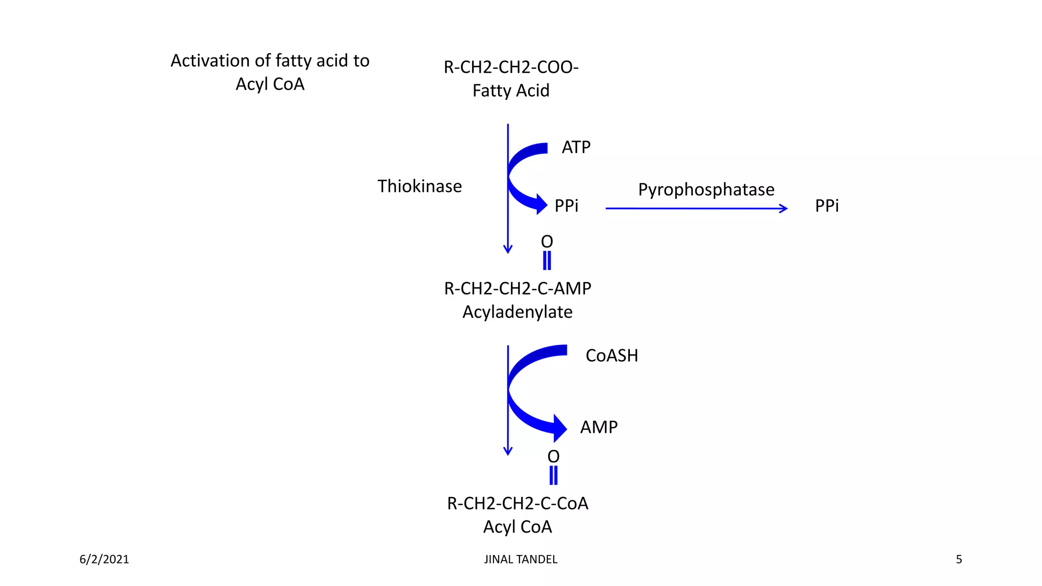 Saturated fatty acid β oxidation | PPTX