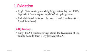 Saturated fatty acid β oxidation | PPTX