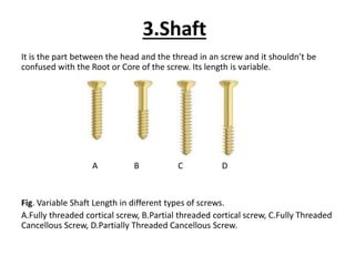 Anatomy of a bone screw, cortical screw vs cancellous screw, wood screw ...